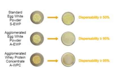 Agglomerated egg white: A naturally perfect protein that swiftly ...