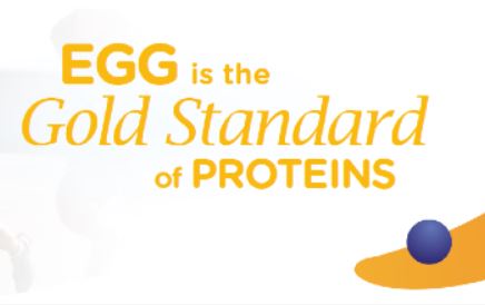 Agglomerated egg white: Reasons to get it - Ovosur - The experts in egg ...